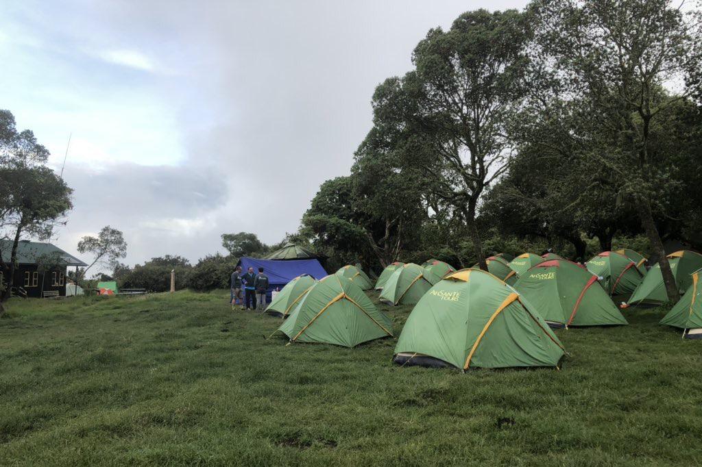 Simba Camp | Join Up Safaris